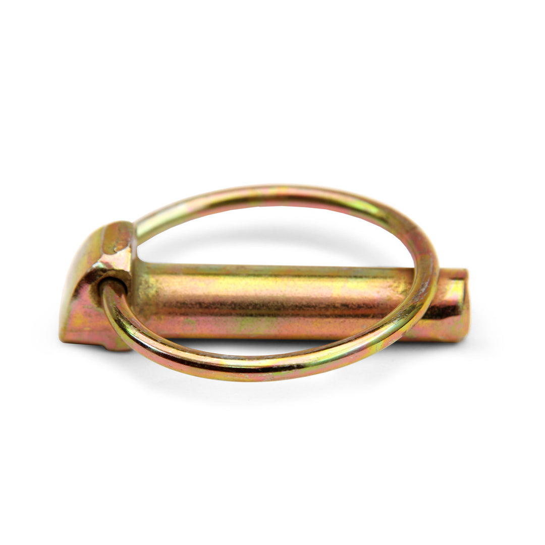 CHAVETA ARGOLLA – Codelba